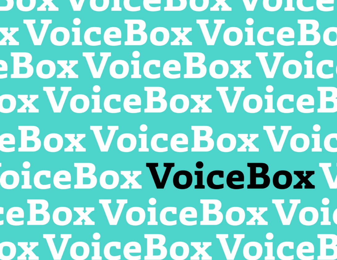 VoiceBox | By young people, for young people